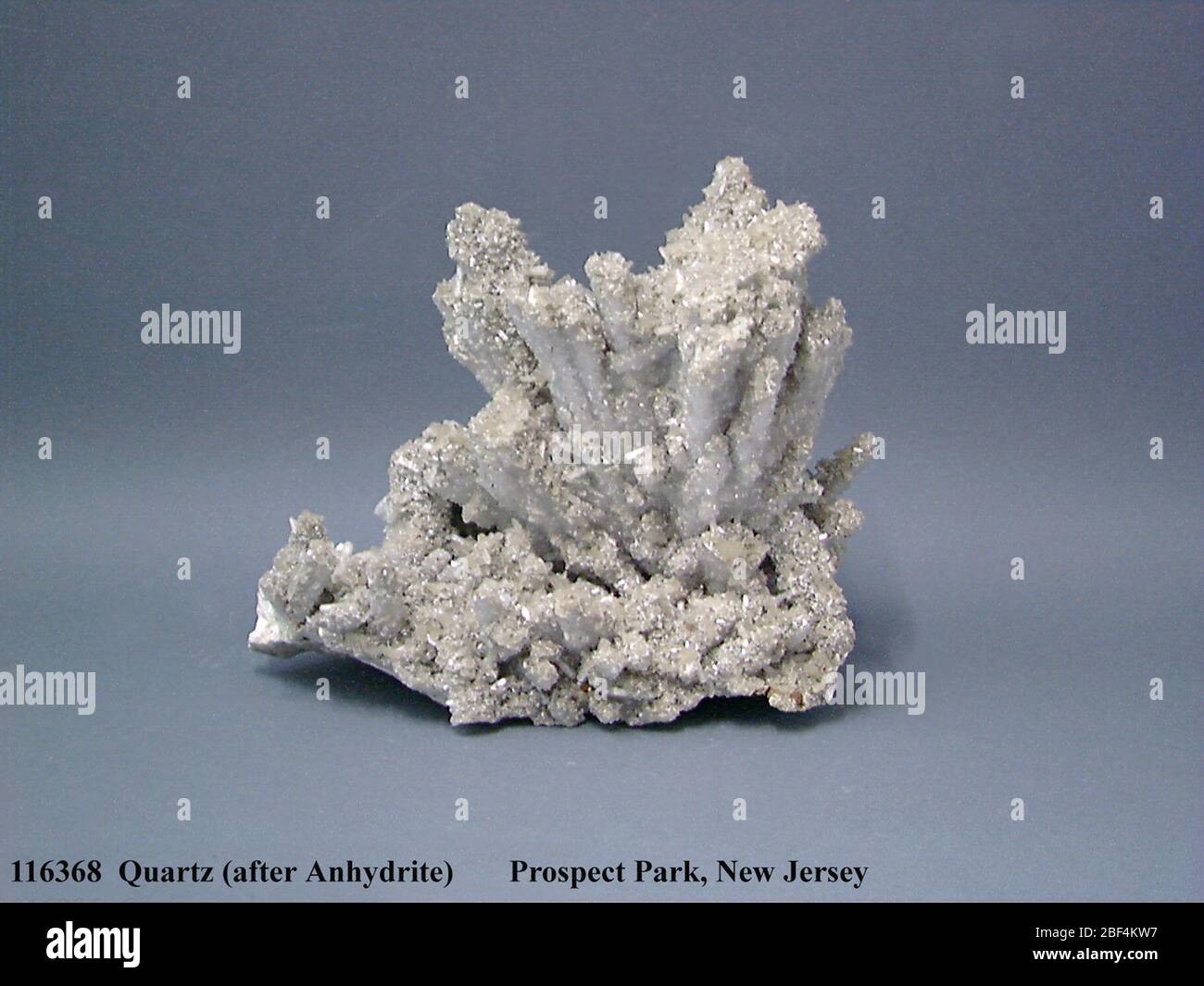 Anhydrite came hi-res stock photography and images - Alamy