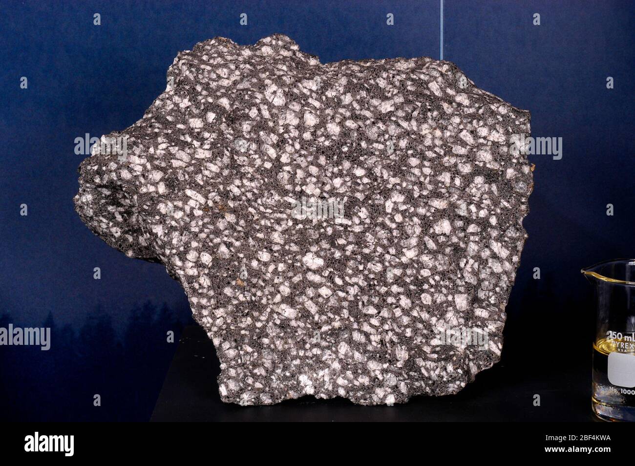 Andesite igneous rock sample hi-res stock photography and images - Alamy