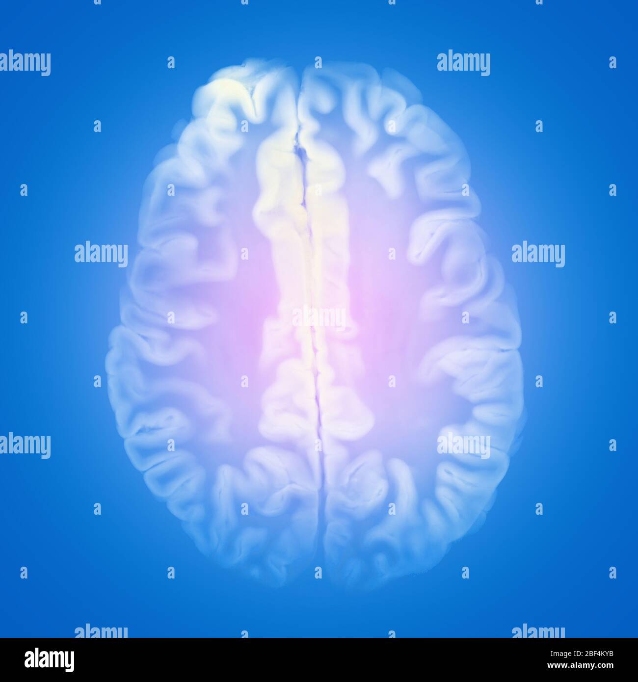Glowing Brain Slice Over Blue Background. Concept For Neurological ...