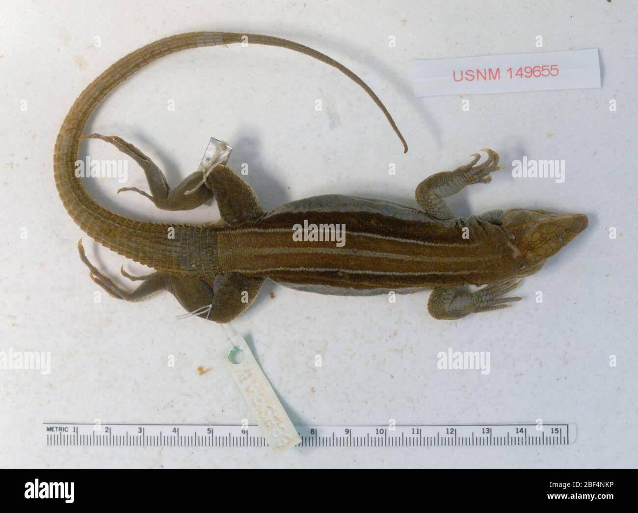 Orcesi hi-res stock photography and images - Alamy