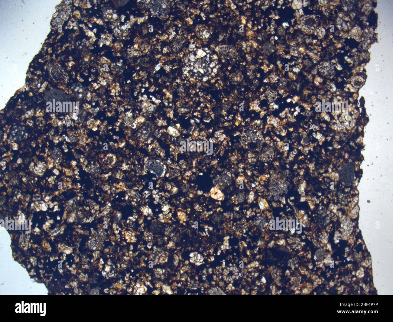 Micrograph of QUE 93022,2 meteorite under plane-polarized light at 1 ...