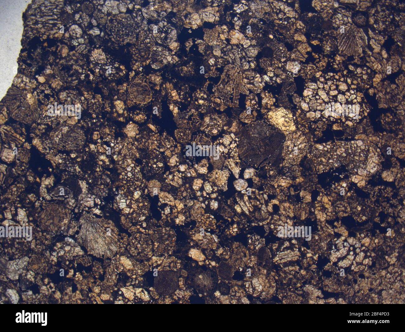 Micrograph of TIL 91702,2 meteorite under plane-polarized light at 1 ...