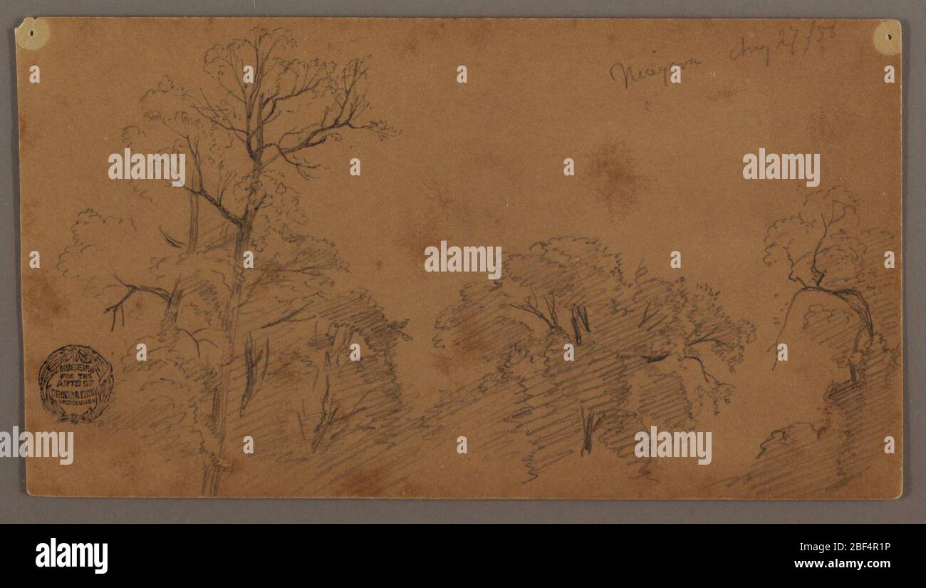 Tree Tops Niagara. Horizontal view of tree tops Stock Photo - Alamy