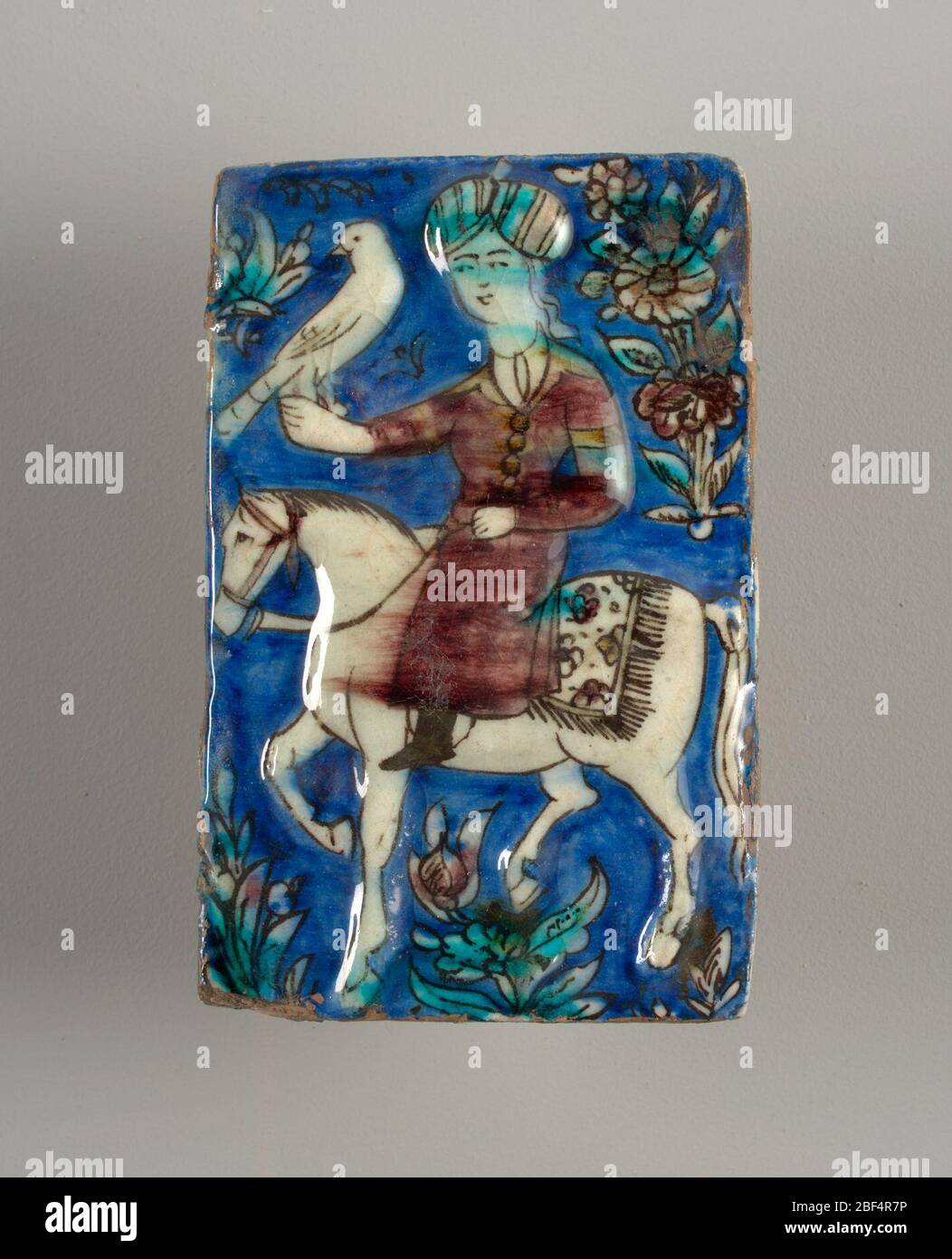 White falcon hi-res stock photography and images - Alamy