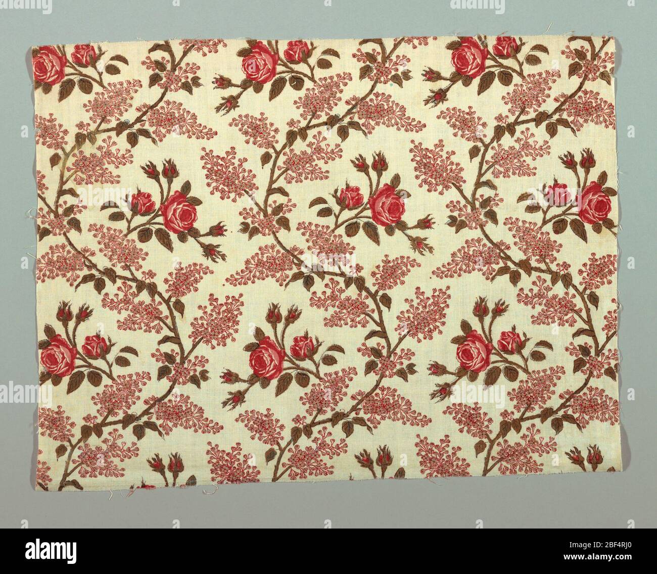 Curving vines hi-res stock photography and images - Alamy