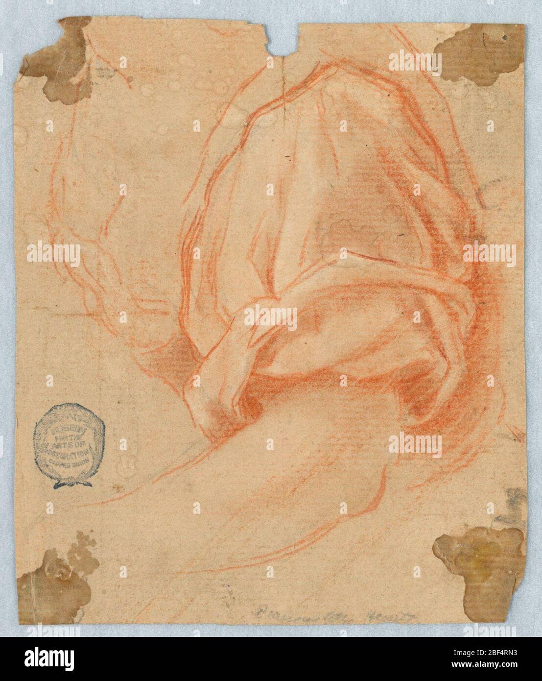 Study of the Upper Part of a Mans Left Arm. Vertical rectangle. Seen in ...