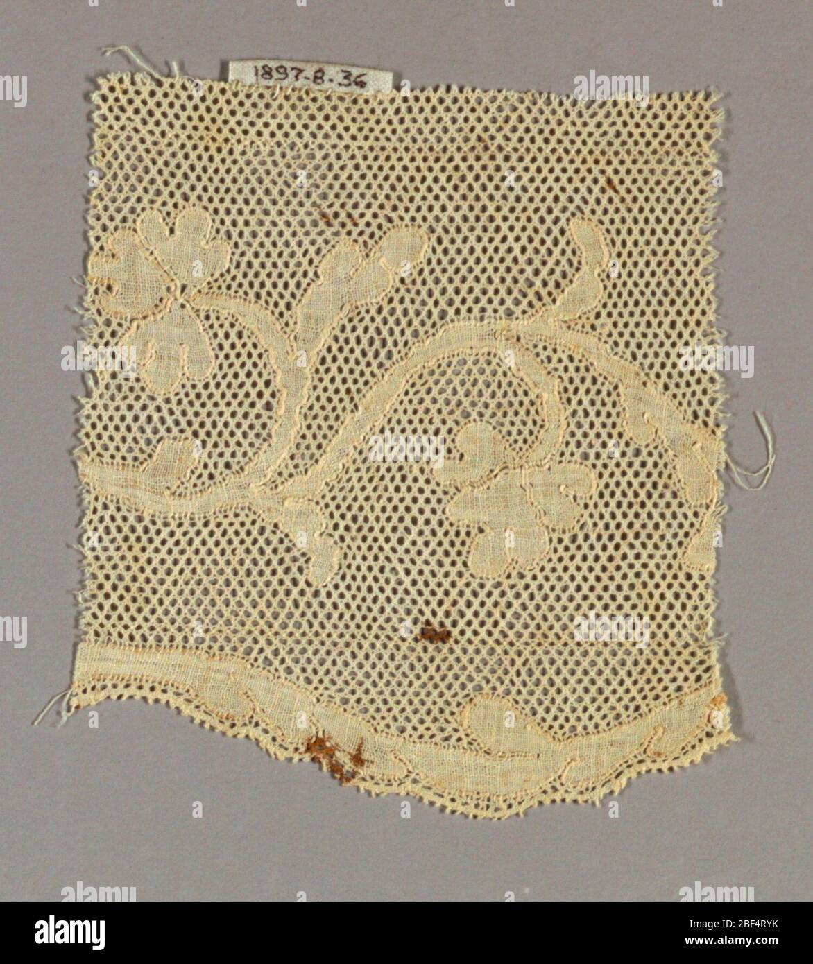 Fragment. Design of serpentine branch with stems and leaves curving ...