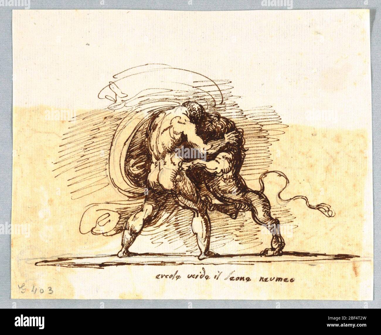 Hercules and Nemean Lion. Hercules shown from right back Stock Photo ...