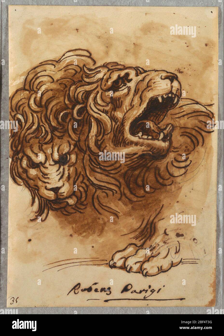 Two Lions Heads Stock Photo - Alamy