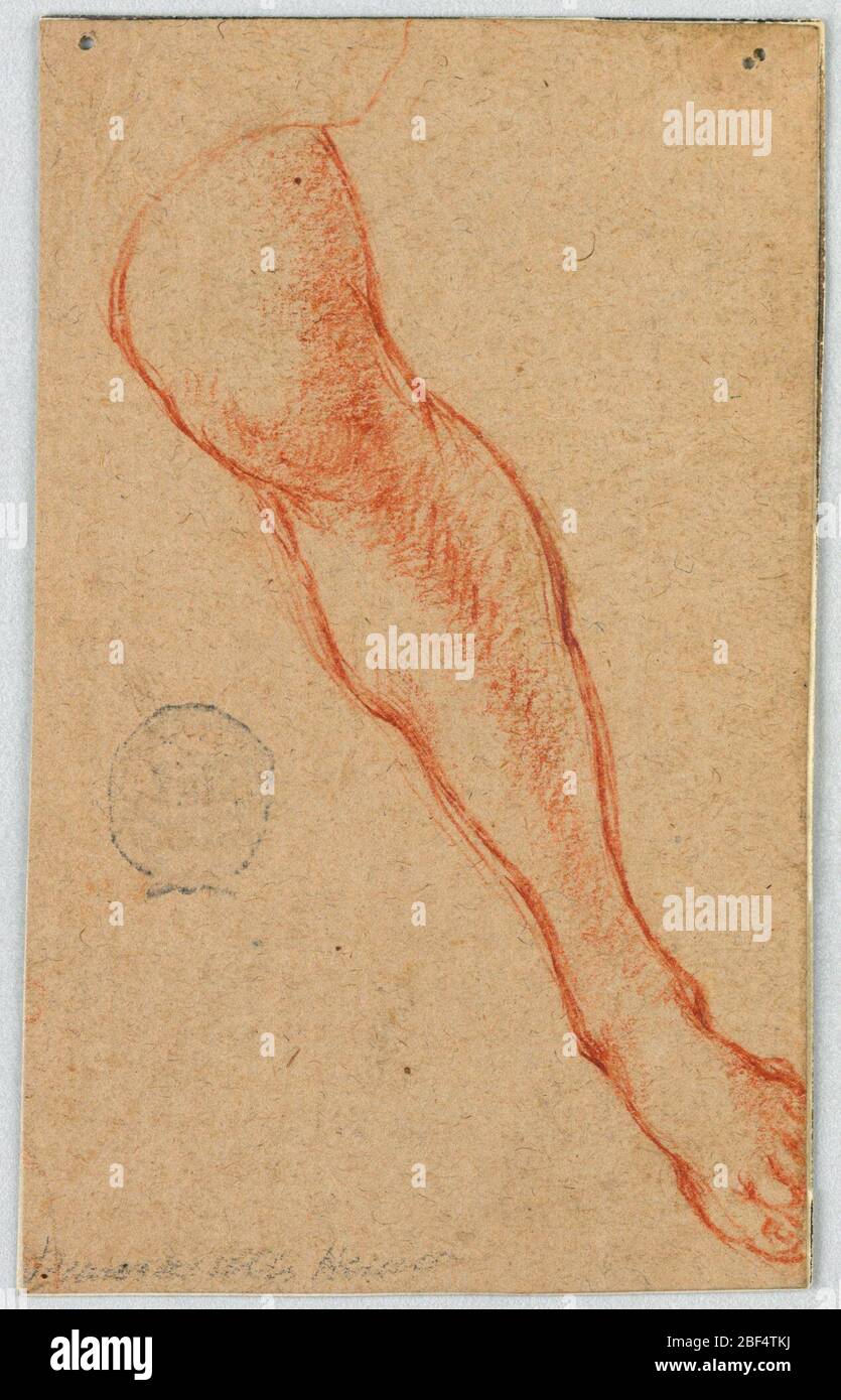Study of the Left Leg of a Seated Woman. Left leg depicted from the ...