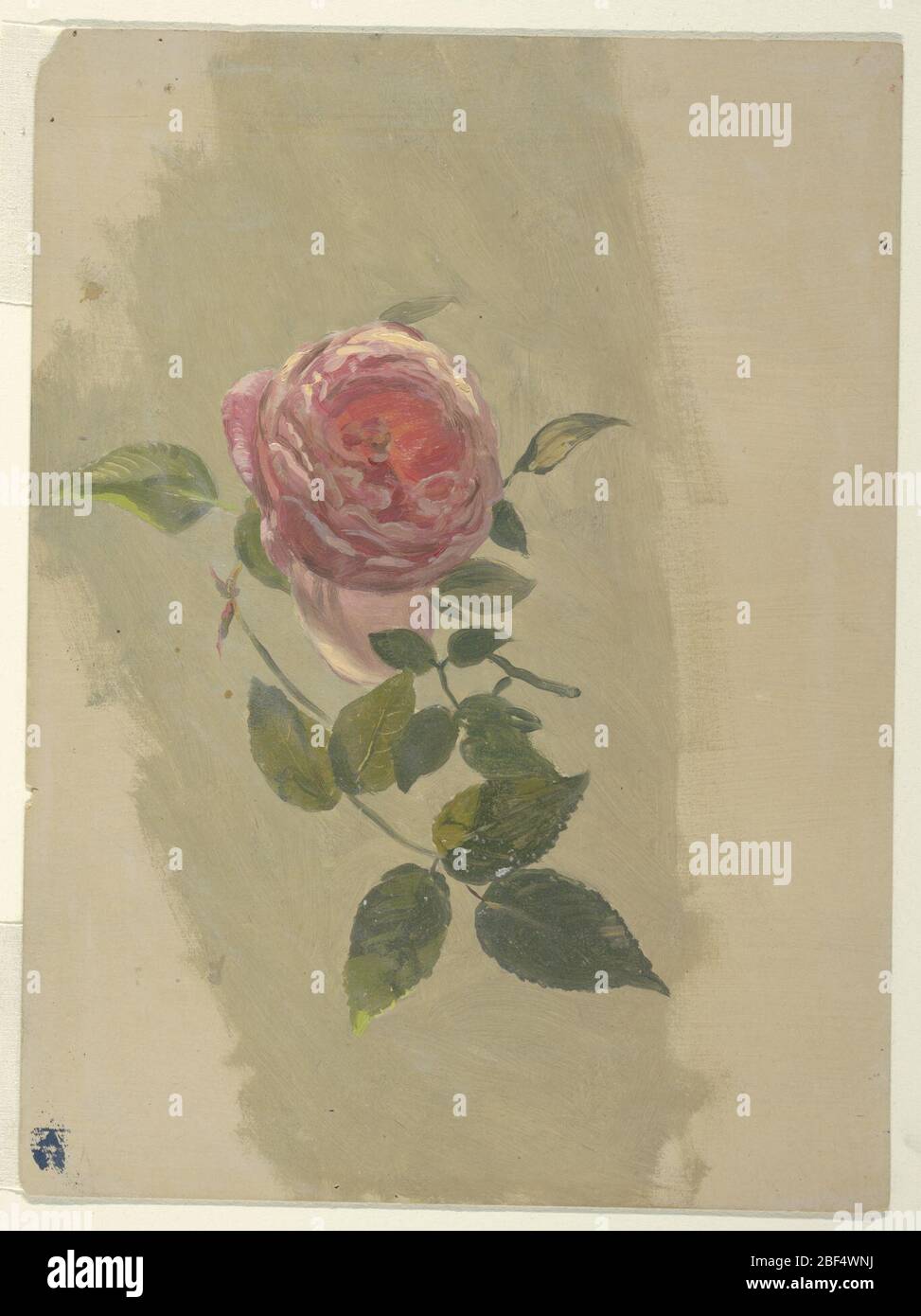 A Rose Bough Stock Photo - Alamy