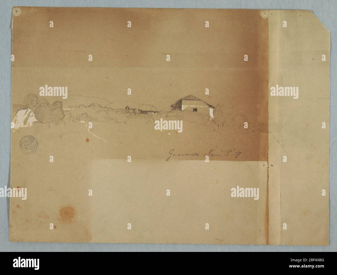 Broad margins hi-res stock photography and images - Alamy