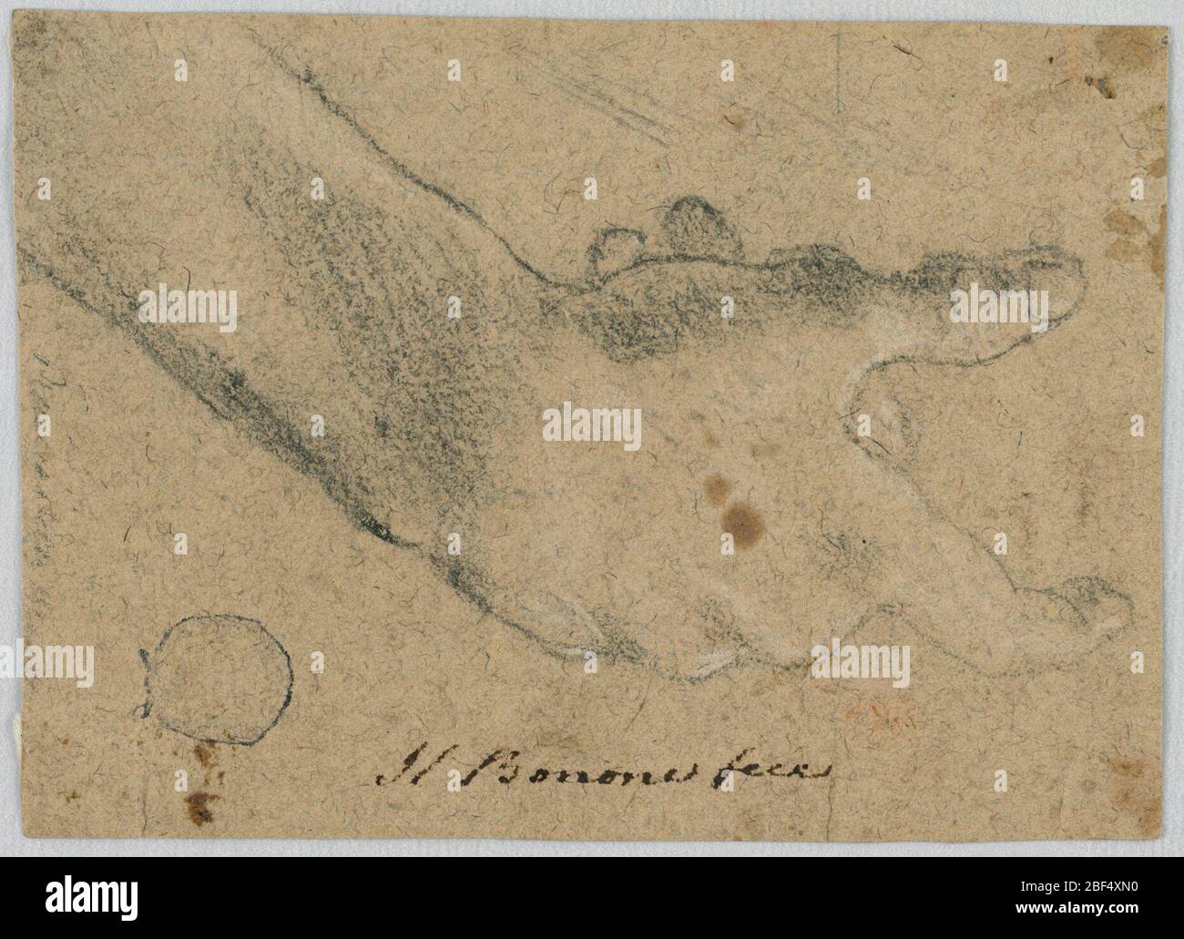 Study A right hand. Horizontal composition of a right hand opened and ...