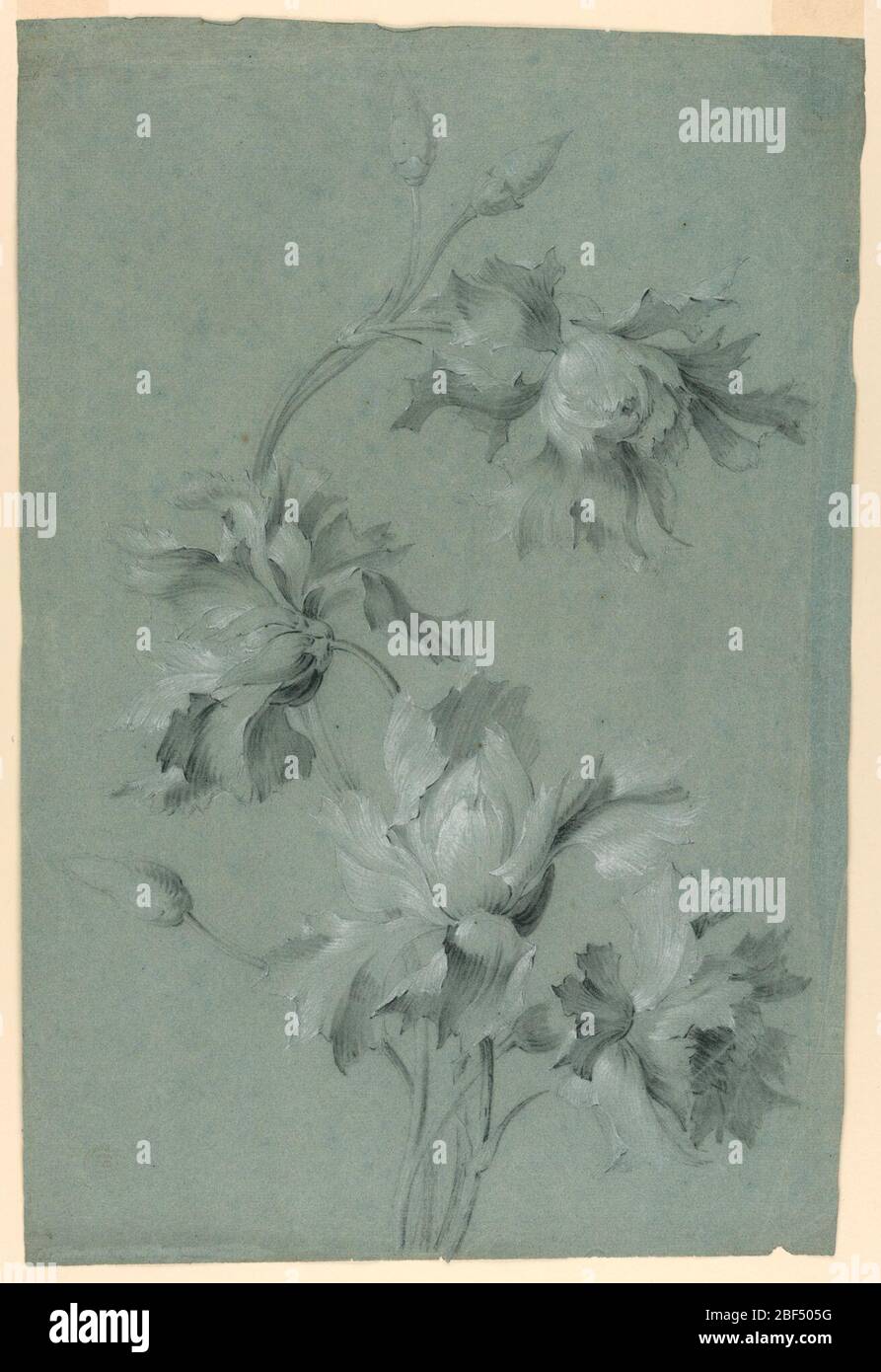 Floral Design. A plant with a curved main stem with four blossoms and ...