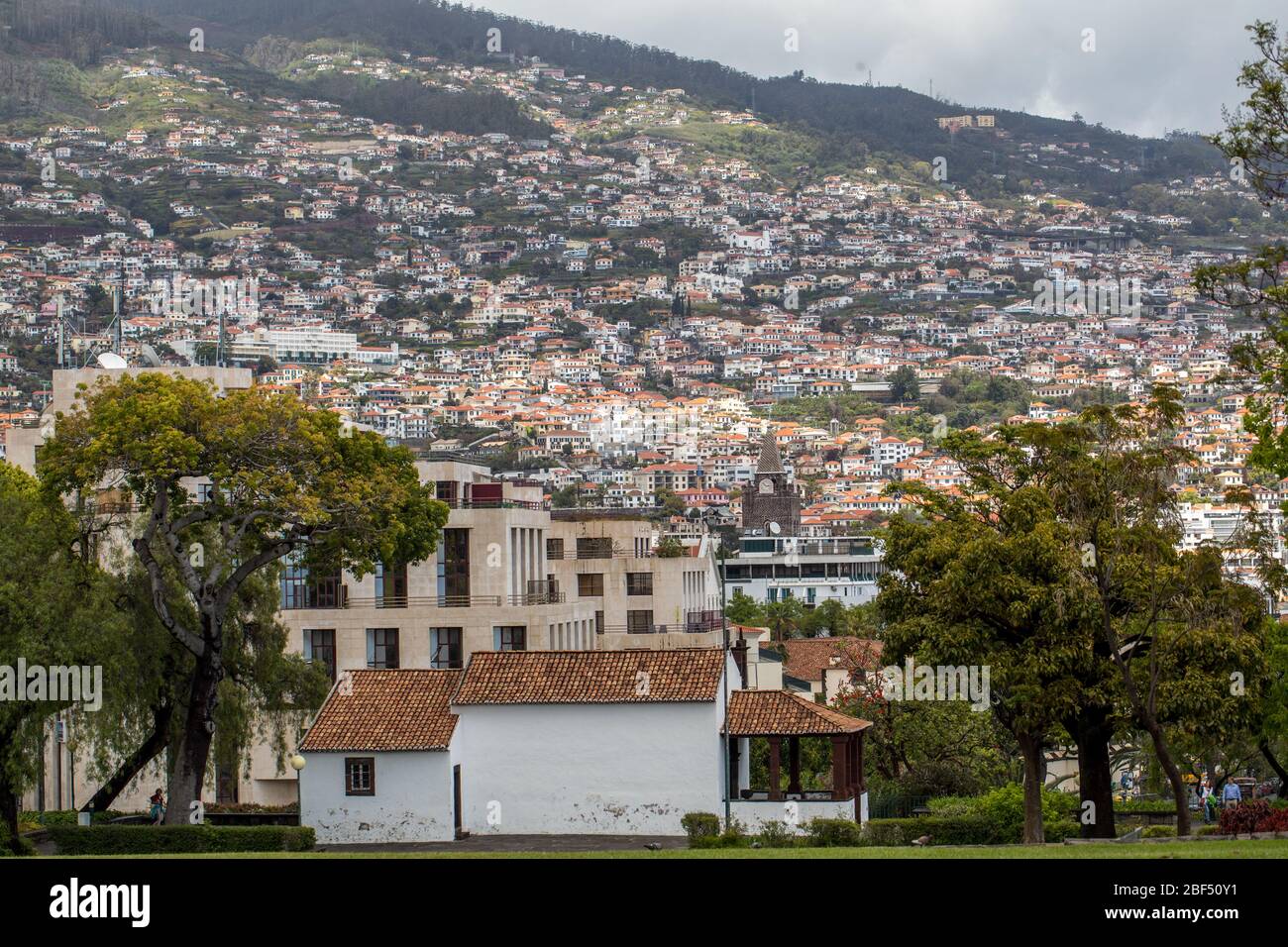 Typical terrace architecture on the steep slopes of Funchal on the ...