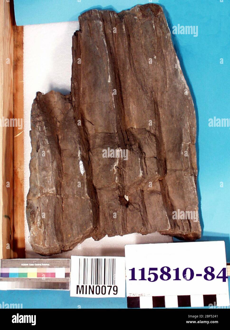 Schist rock specimen hi-res stock photography and images - Alamy