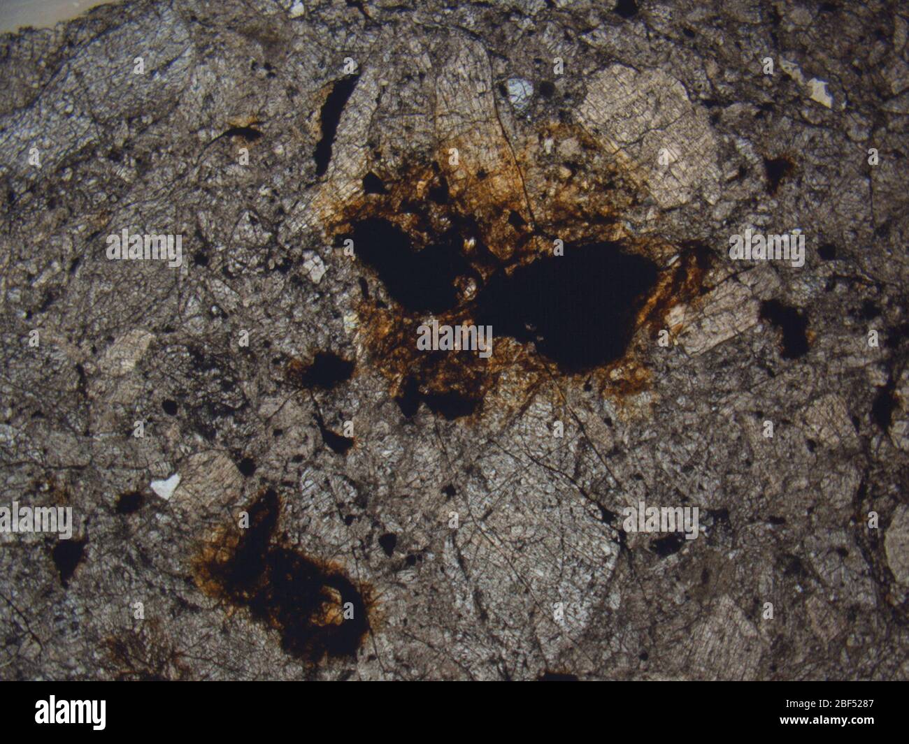 Micrograph of ALH 84014,12 meteorite under plane-polarized light at 1 ...