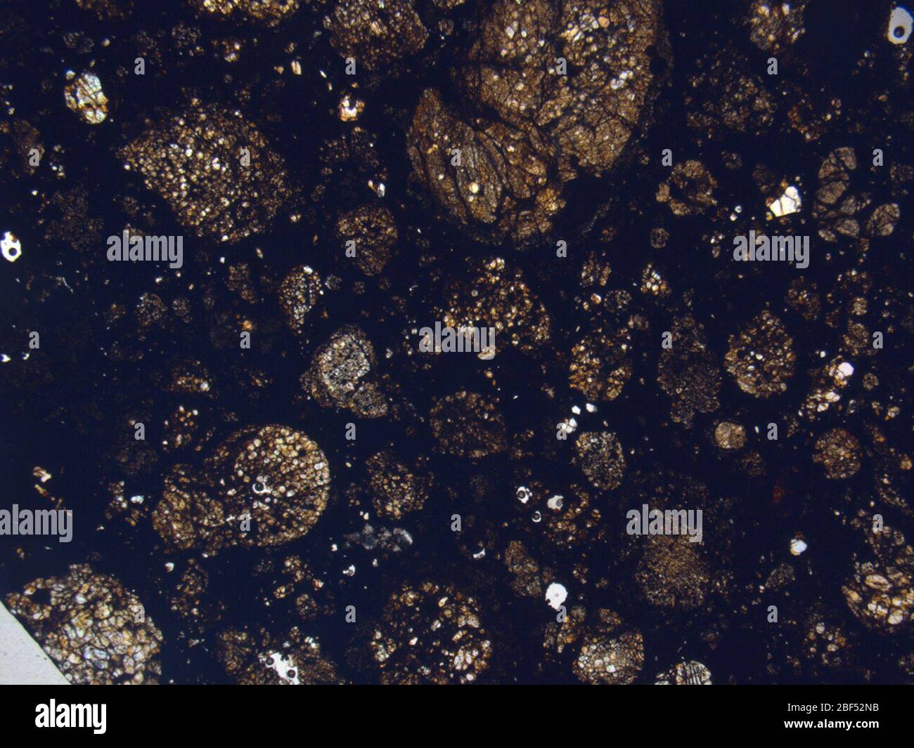 Micrograph of GRO 03116,2 meteorite under plane-polarized light at 1 ...