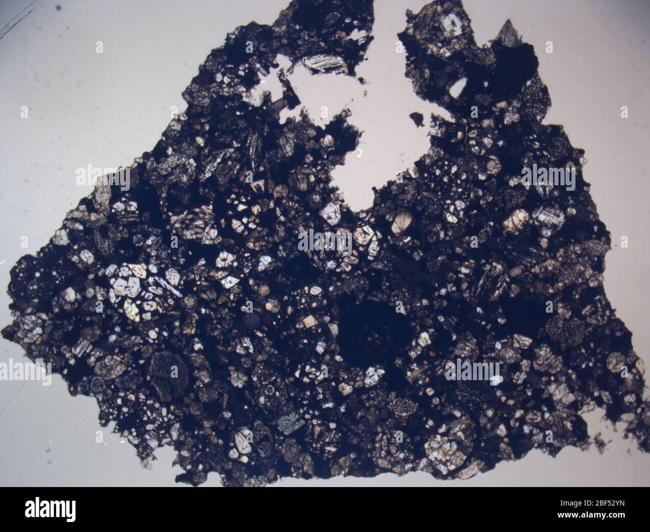 Micrograph of MIL 99302,7 meteorite under plane-polarized light at 1 ...