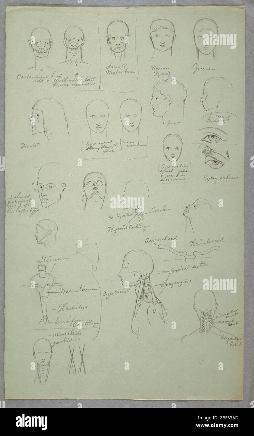 Anatomical Studies. Verso: Heads, torso, leg Stock Photo - Alamy