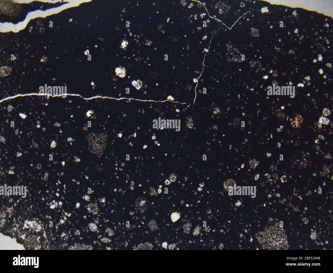 Micrograph of ALH 85008,2 meteorite under plane-polarized light at 1 ...