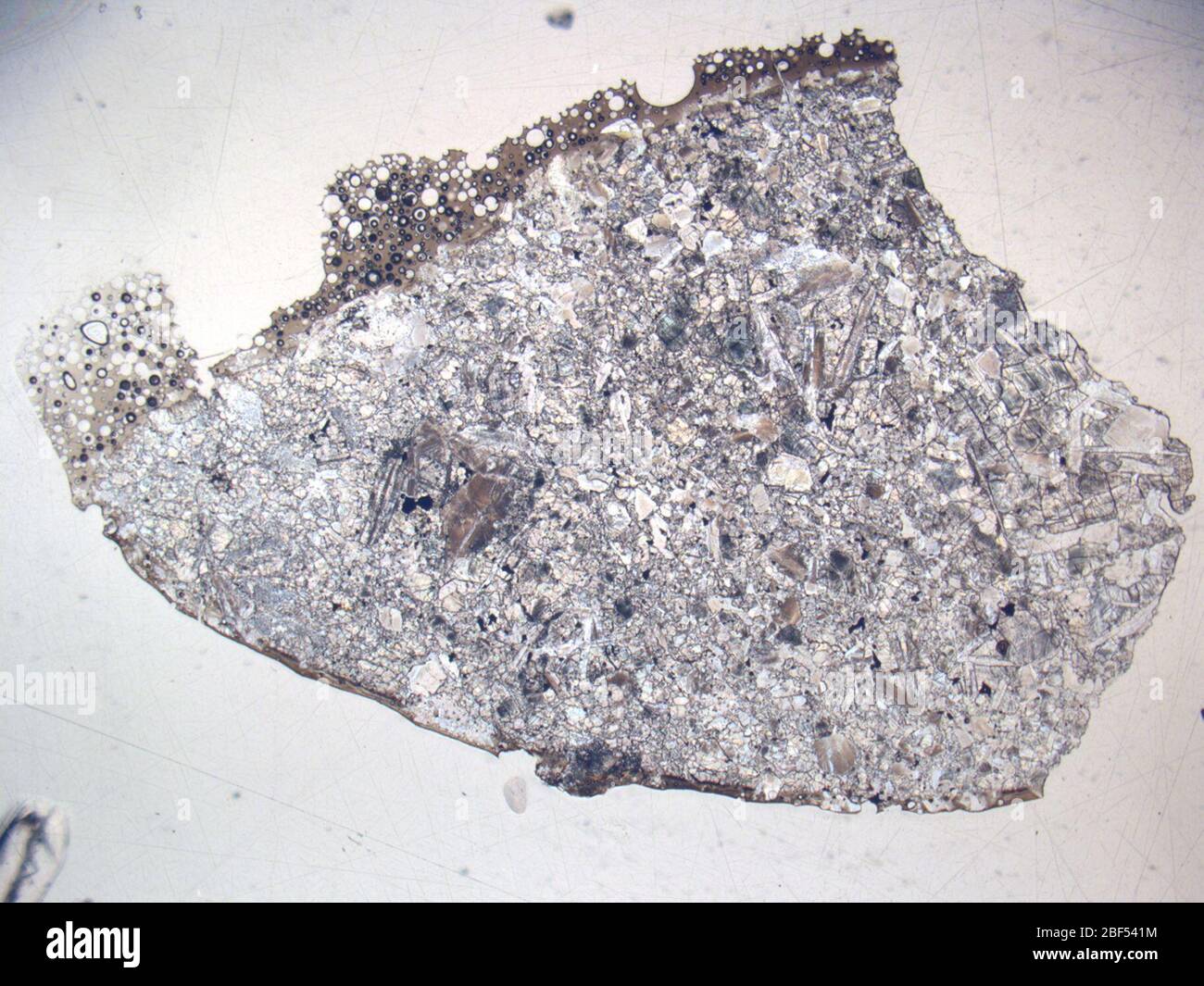 Micrograph of MIL 07658,4 meteorite under plane-polarized light at 1 ...