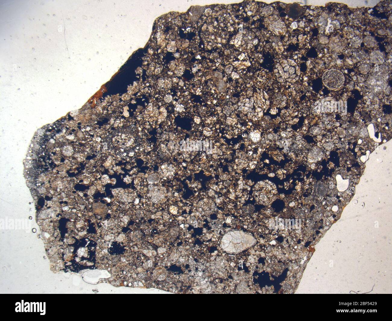 Micrograph of LEW 86435,2 meteorite under plane-polarized light at 1 ...