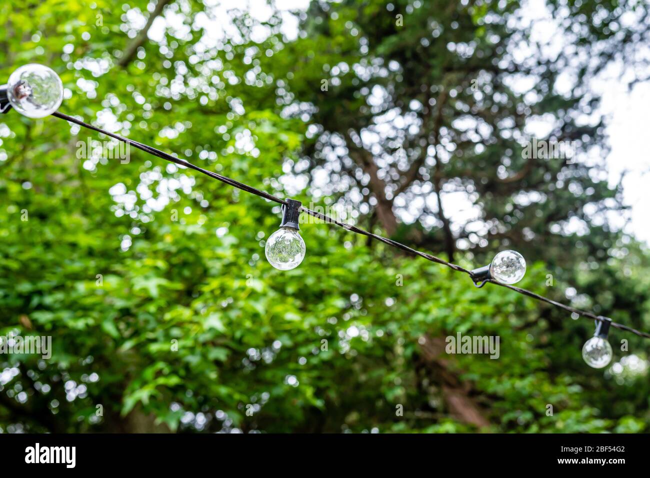 light bulb decor in outdoor party, a garland of light bulbs hanging ...