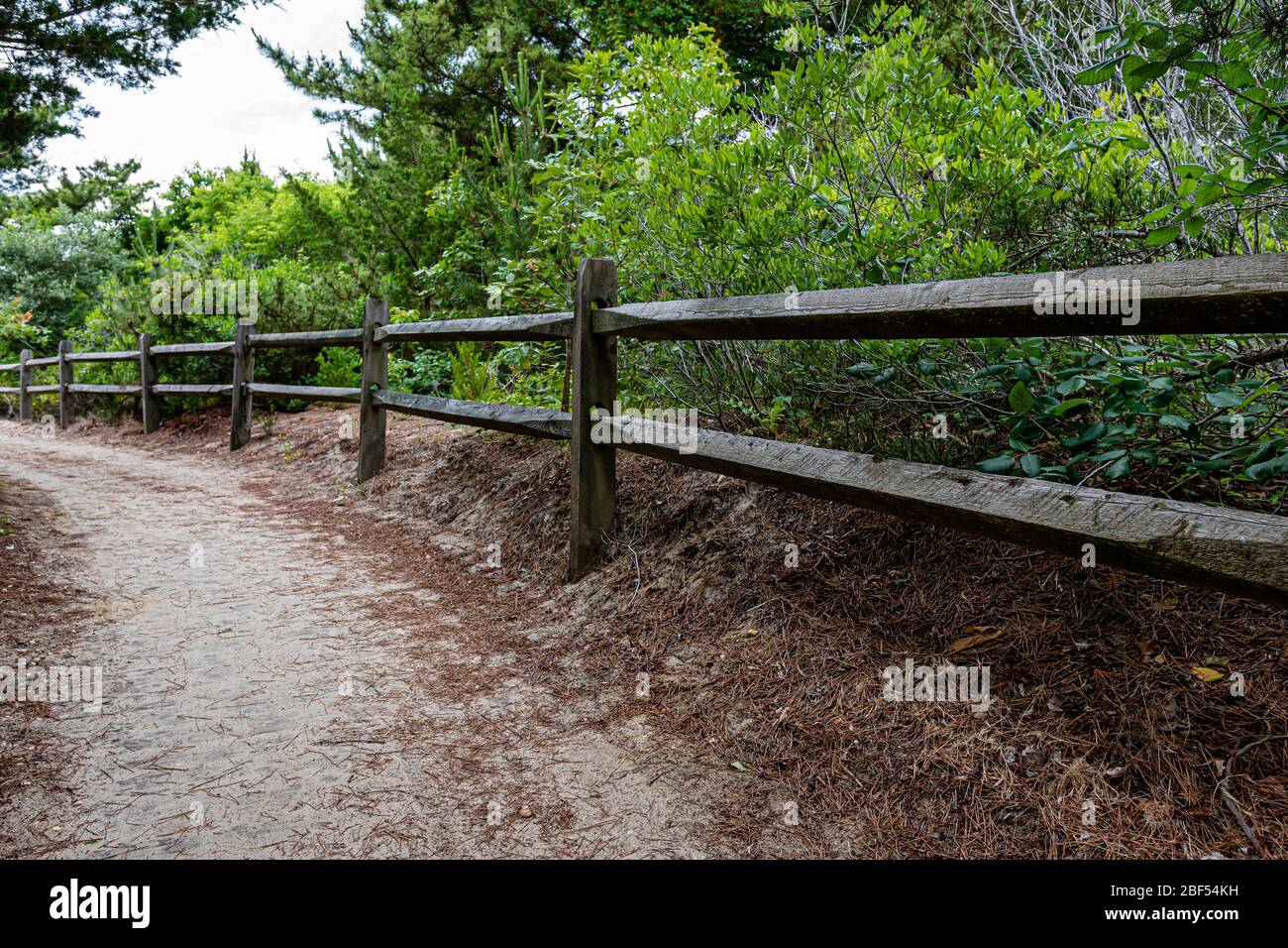 wooden fence and walking path to the ocean beach at Cape May, NJ, USA ...