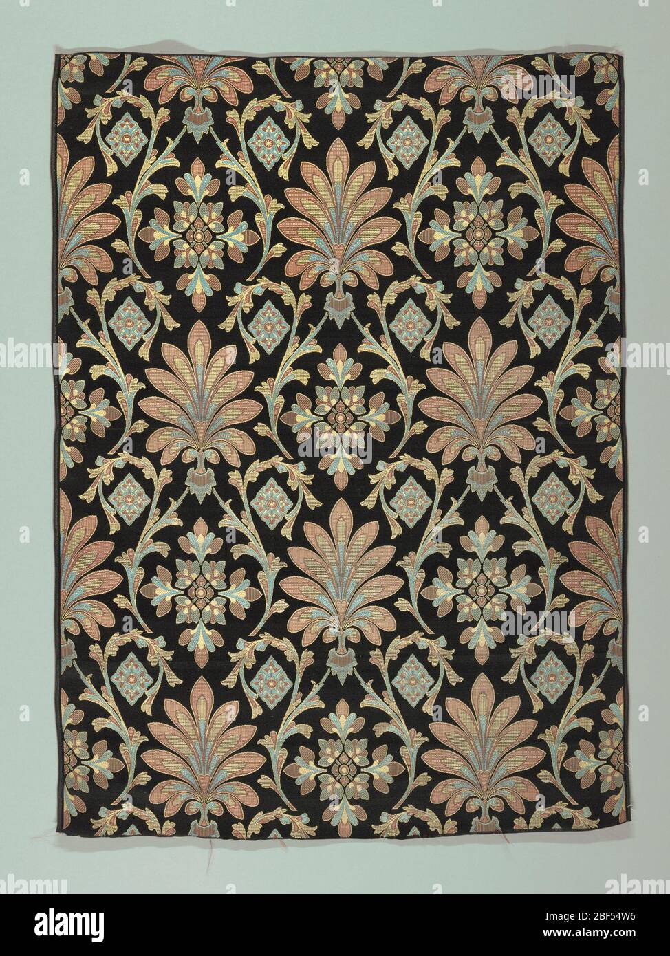 Curving vines hi-res stock photography and images - Alamy