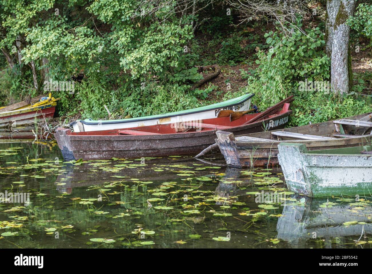 Old wooden boats on a Wigry Lake near Slupie and Gawrych Ruda villages ...