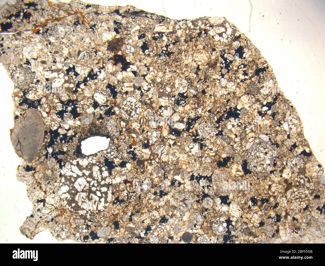 Micrograph of ALHA77225,10 meteorite under plane-polarized light at 1 ...