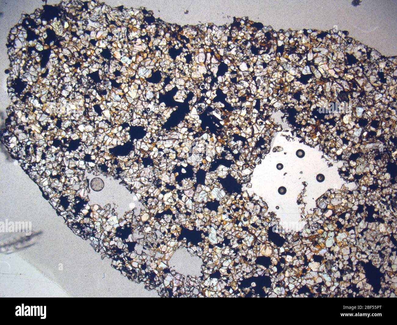 Micrograph of MET 01212,2 meteorite under plane-polarized light at 1 ...