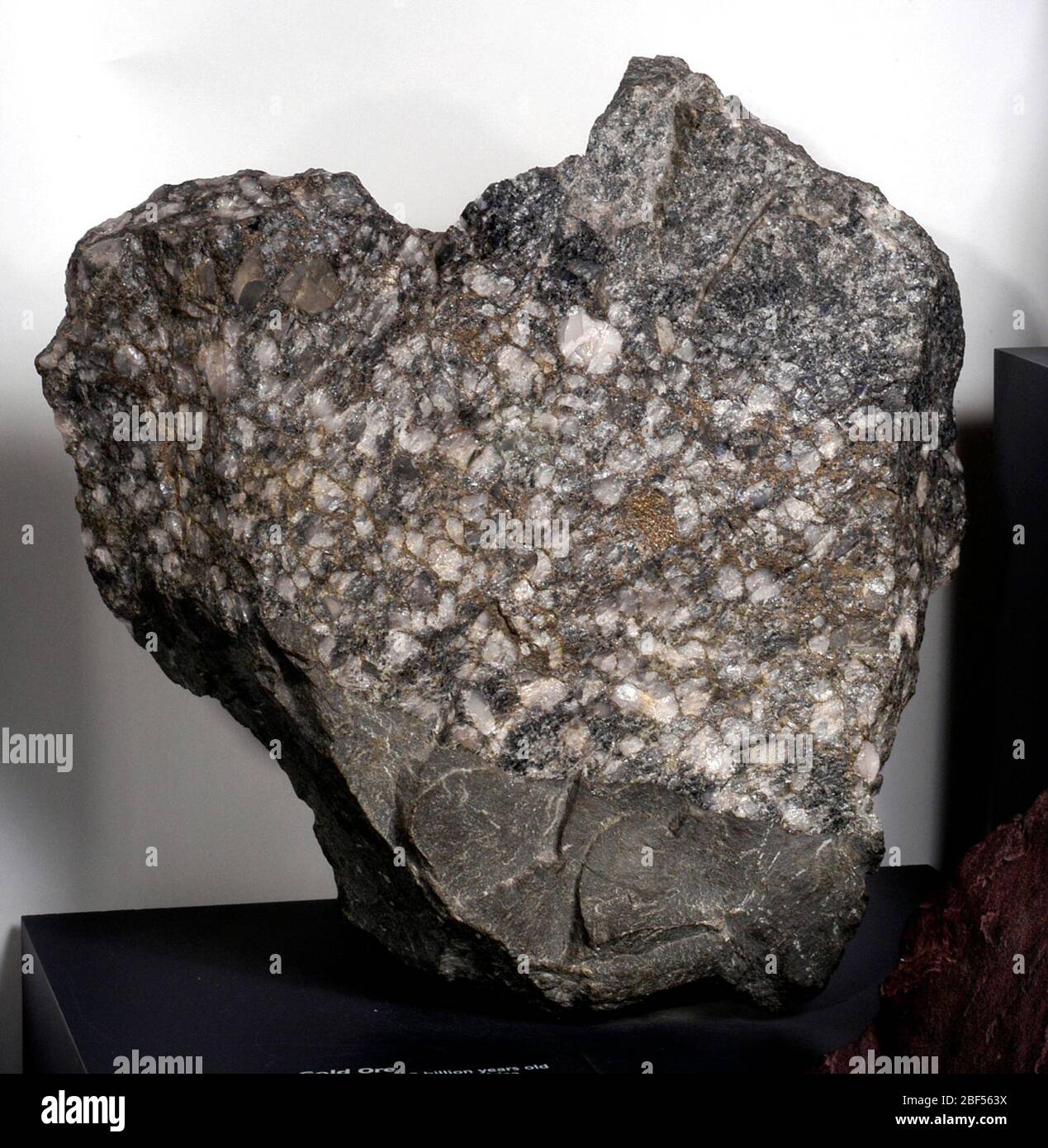 Sedimentary conglomerate rock specimen hi-res stock photography and ...