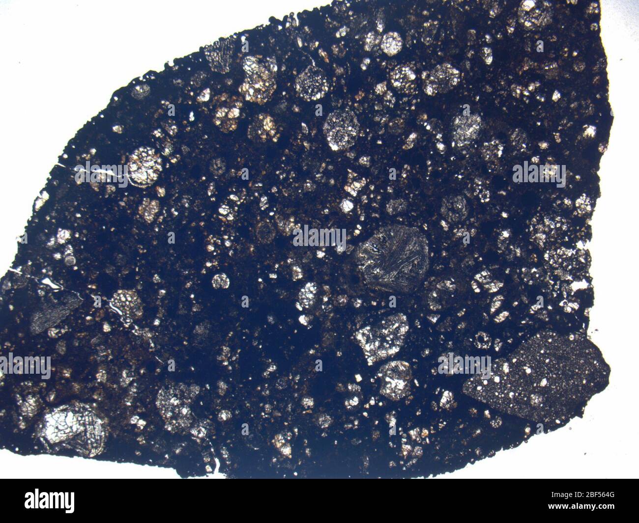 Micrograph of LAP 031275,2 meteorite under plane-polarized light at 1 ...