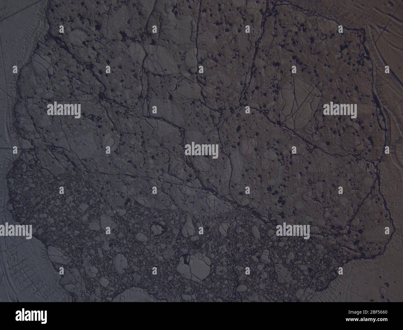 Micrograph of MIL 07662,5 meteorite under reflected light at 1.25x ...