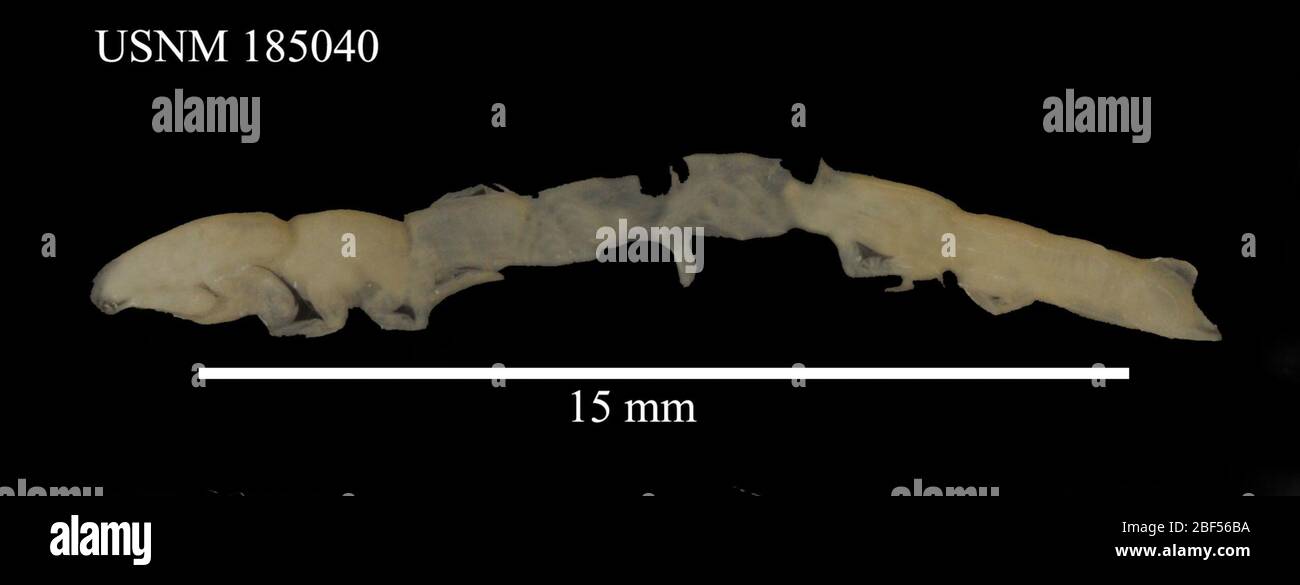 000130 hi-res stock photography and images - Alamy