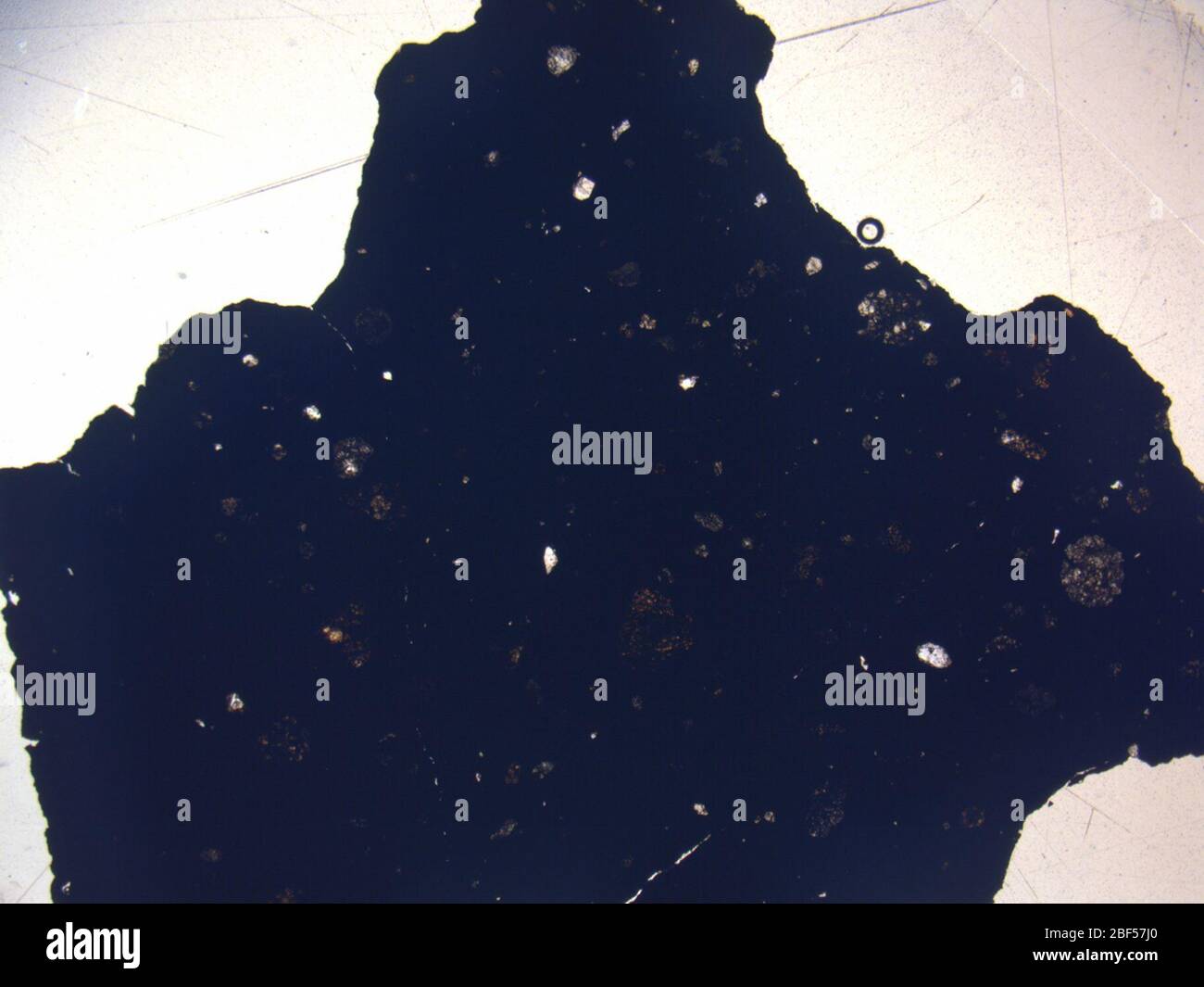 Micrograph of LAP 04565,2 meteorite under plane-polarized light at 1 ...