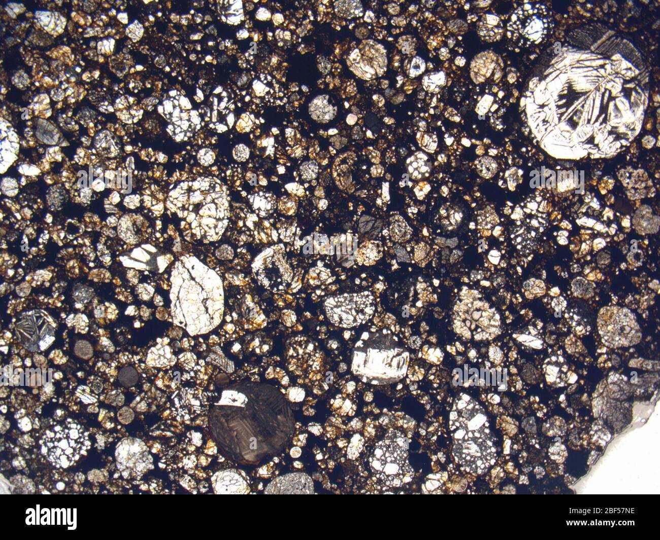 Micrograph Of Lew 86102 2 Meteorite Under Plane Polarized Light At 1