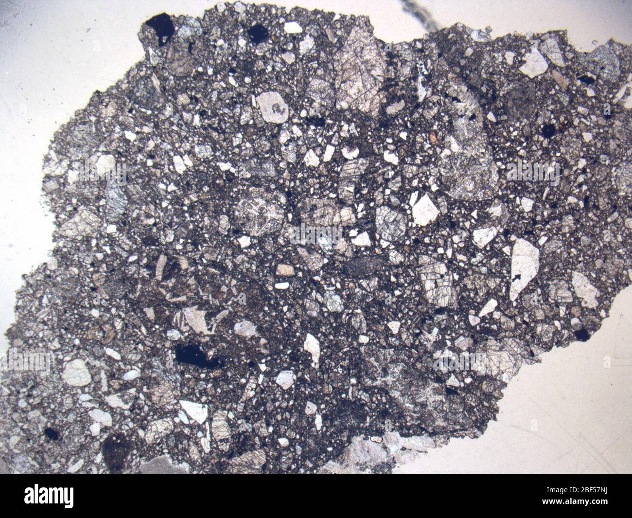 Micrograph of MET 00423,2 meteorite under plane-polarized light at 1 ...
