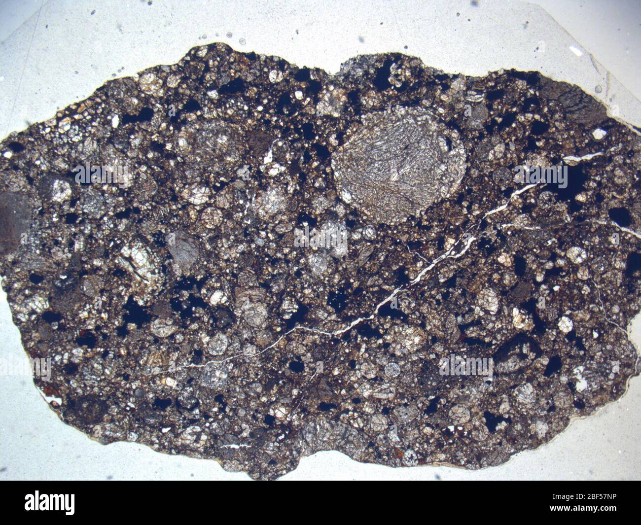 Micrograph Of Lew 88691 2 Meteorite Under Plane Polarized Light At 1 25x Magnification Stock
