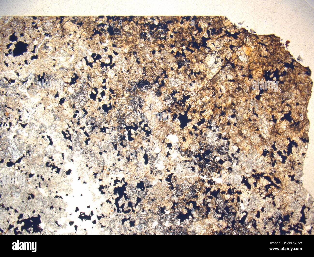 Micrograph of META78001,2 meteorite under plane-polarized light at 1 ...
