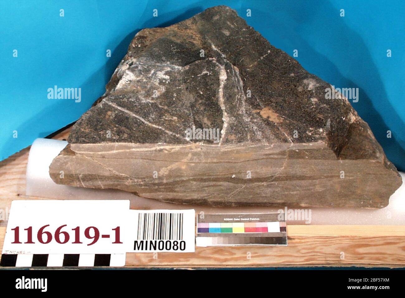 Migmatite hi-res stock photography and images - Alamy