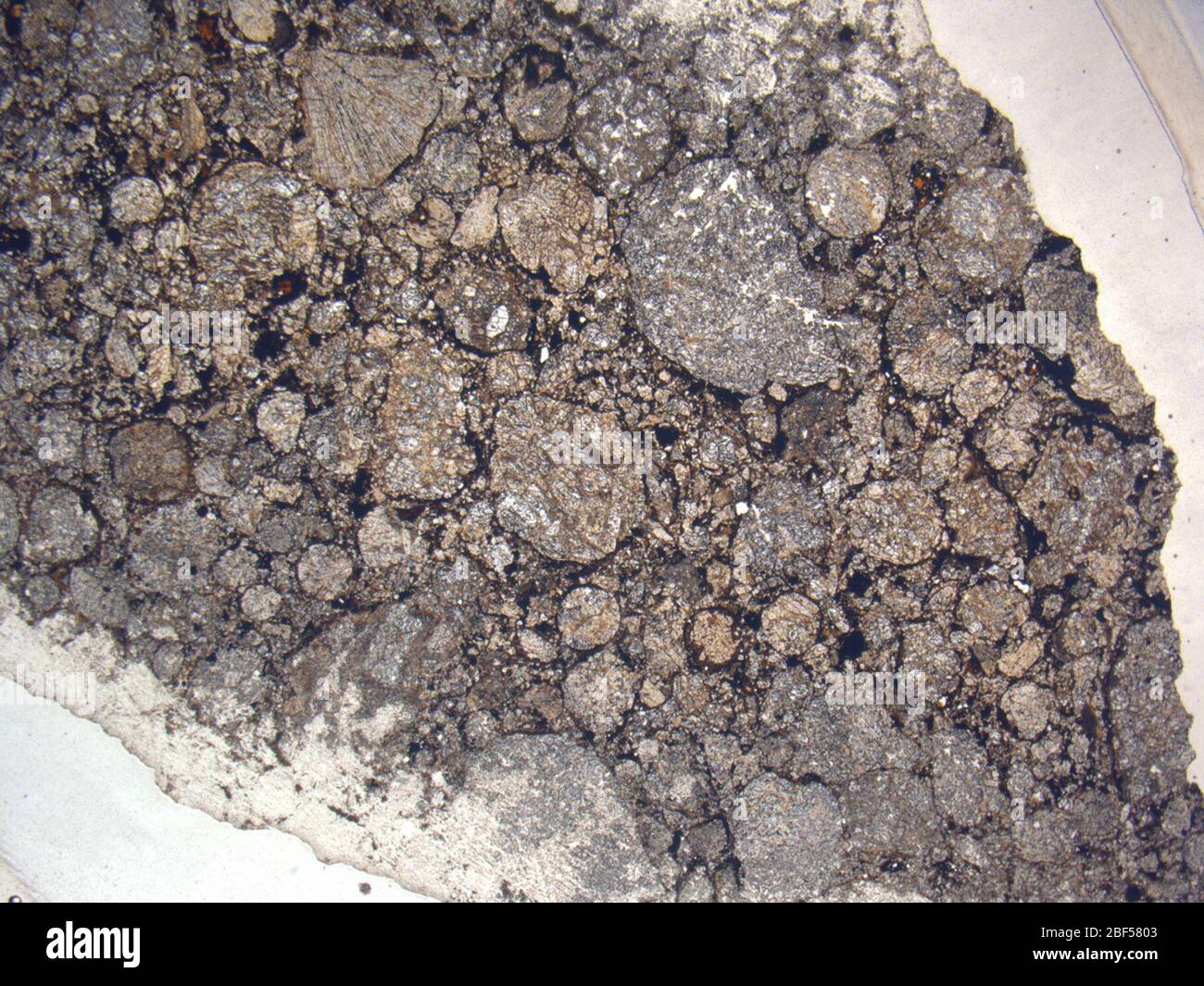 Micrograph of EET 83395,2 meteorite under plane-polarized light at 1 ...