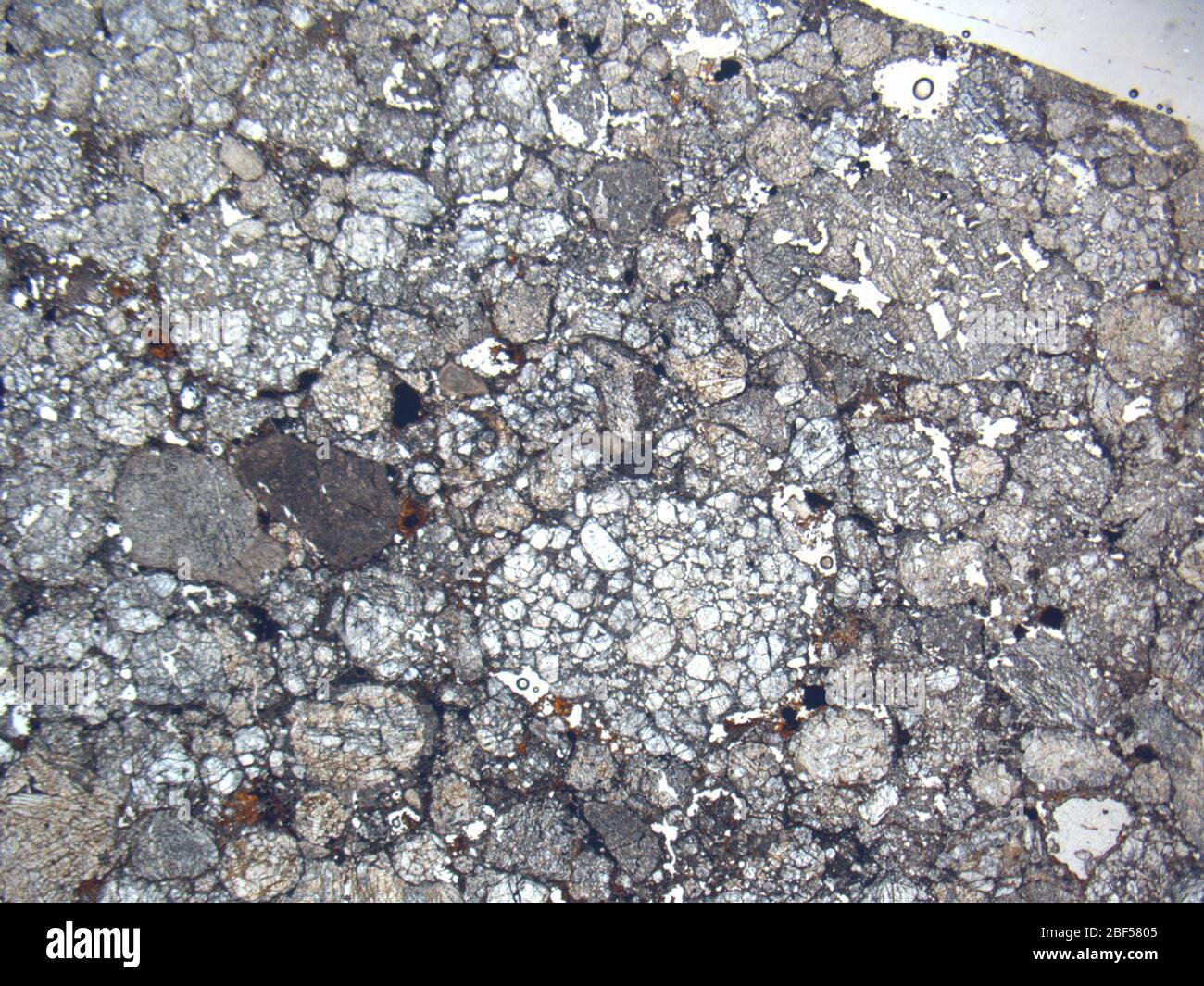 Micrograph of EET 83274,2 meteorite under plane-polarized light at 1 ...
