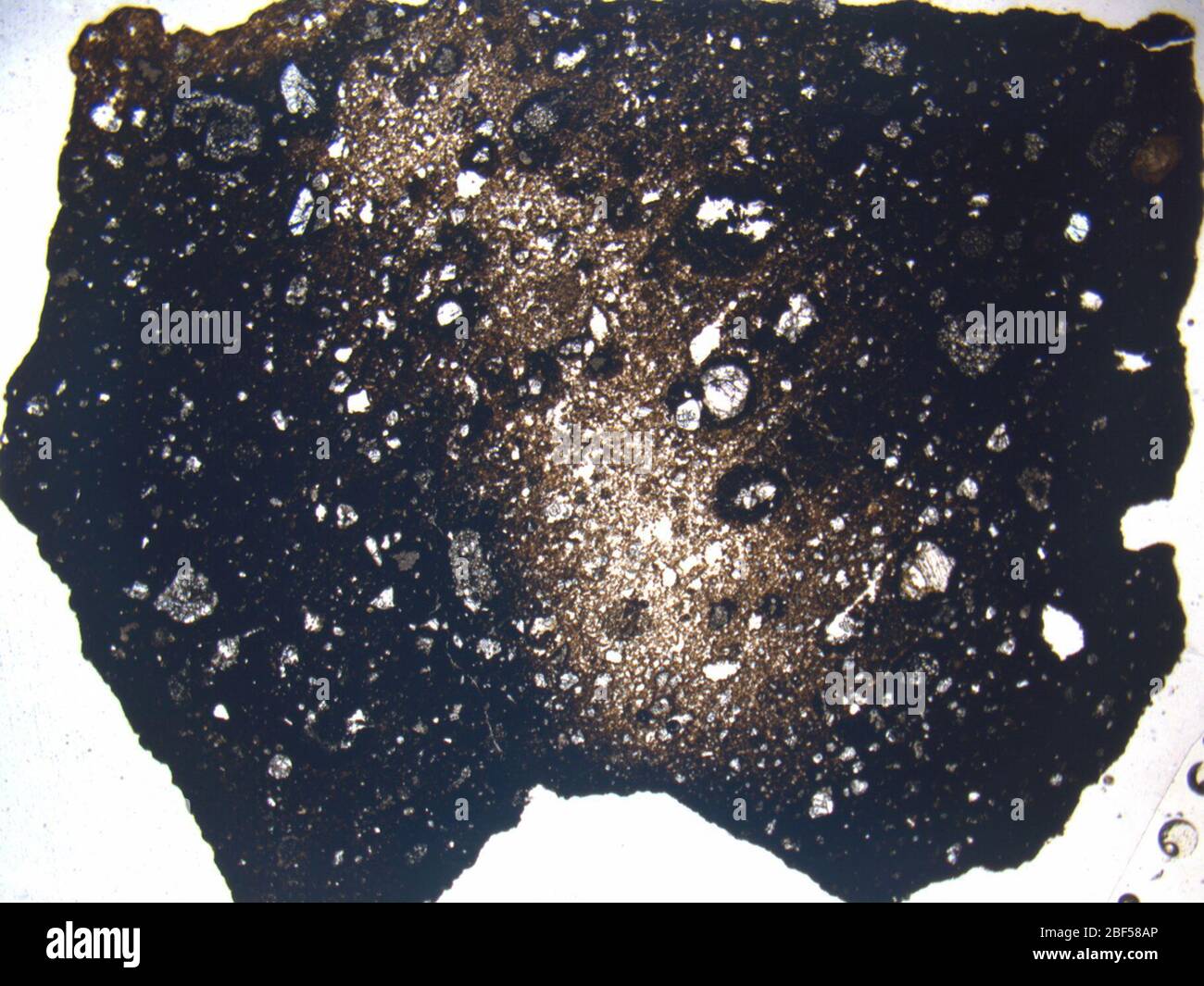 Micrograph of ALH 84036,1 meteorite under plane-polarized light at 1 ...