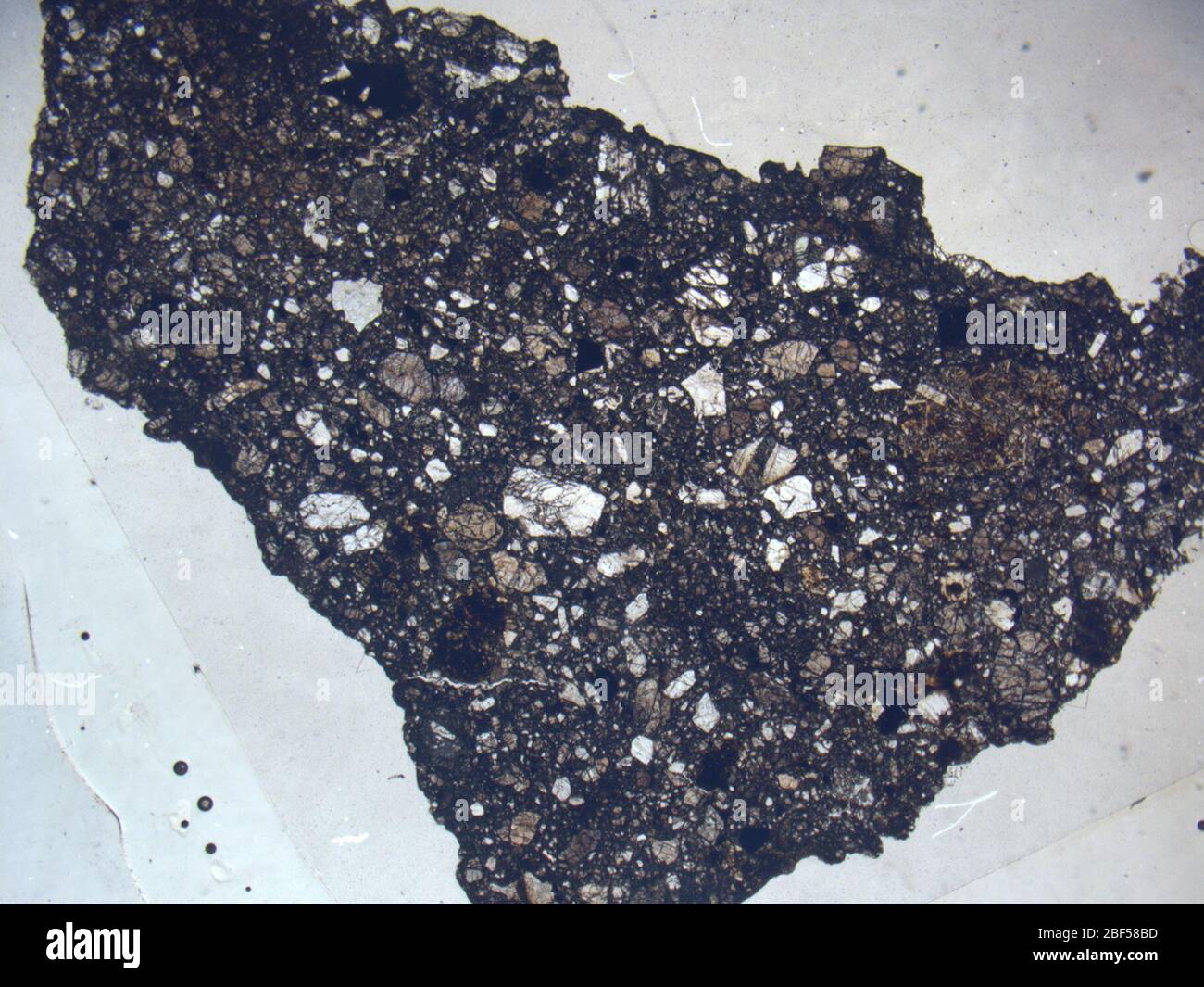 Micrograph of EET 83229,2 meteorite under plane-polarized light at 1 ...
