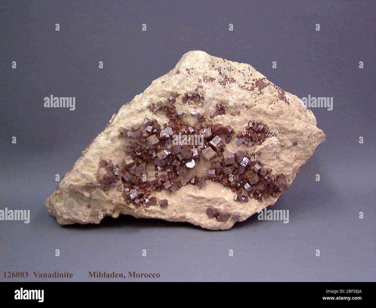 Vanadate mineral hi-res stock photography and images - Alamy