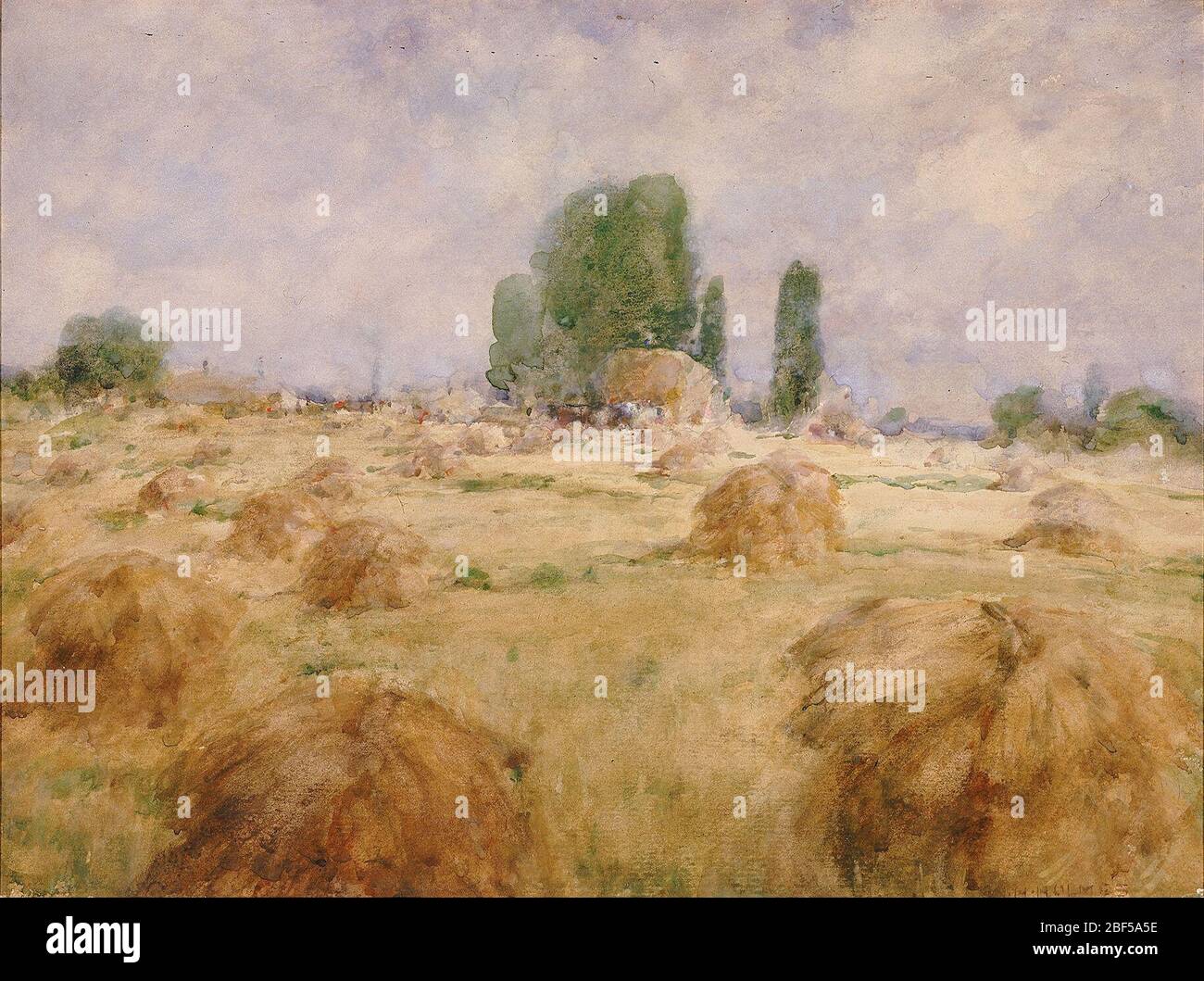 Field of Wheat Shock Stock Photo - Alamy