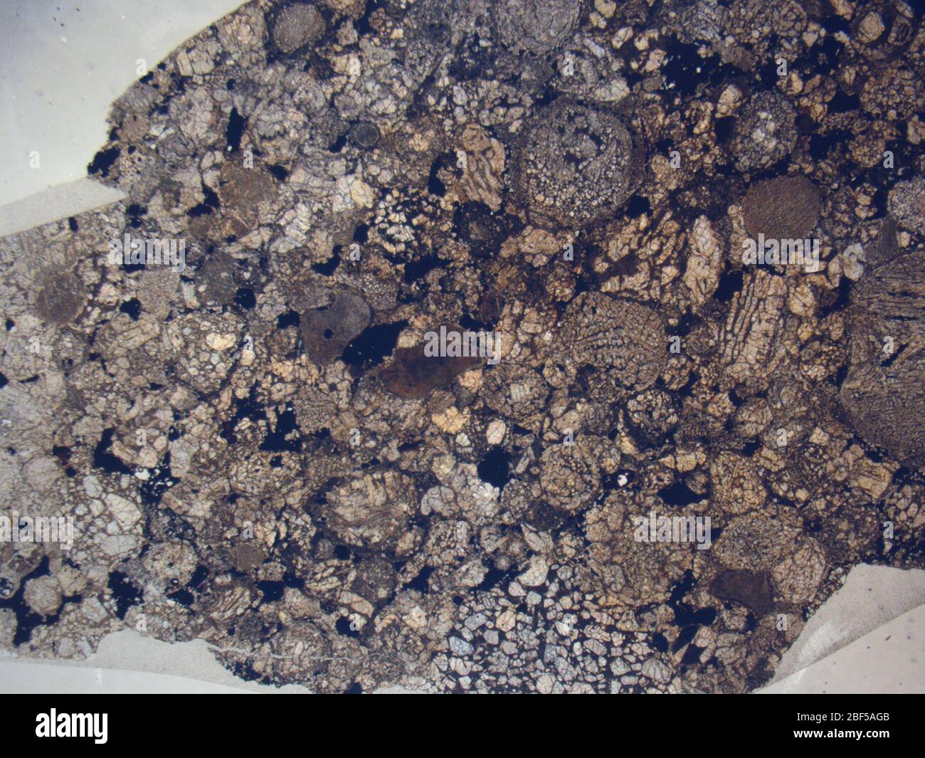 Micrograph Of Til 82404 2 Meteorite Under Plane Polarized Light At 1 25x Magnification Stock